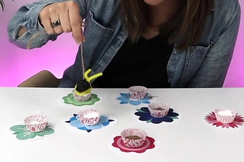 Preschool Science Experiments for Play-Based Learning