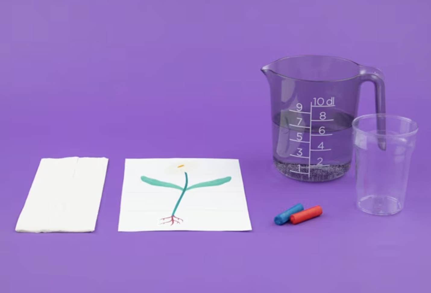 25 Outdoor STEM Activities to Explore Science in Nature