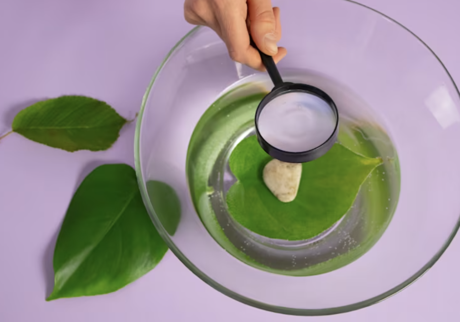 25 Outdoor STEM Activities to Explore Science in Nature