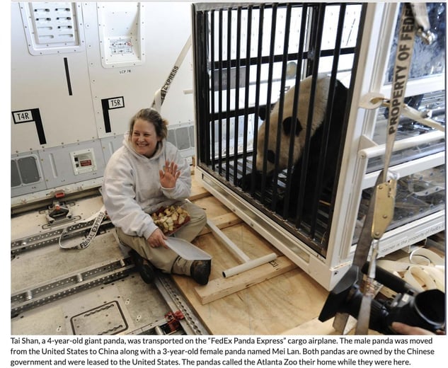 Using Inquiry-Based Learning With STEMscopes Math Activities