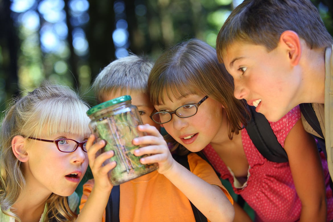 9 Outdoor STEM Activities That Bring Science Learning Out Into Nature