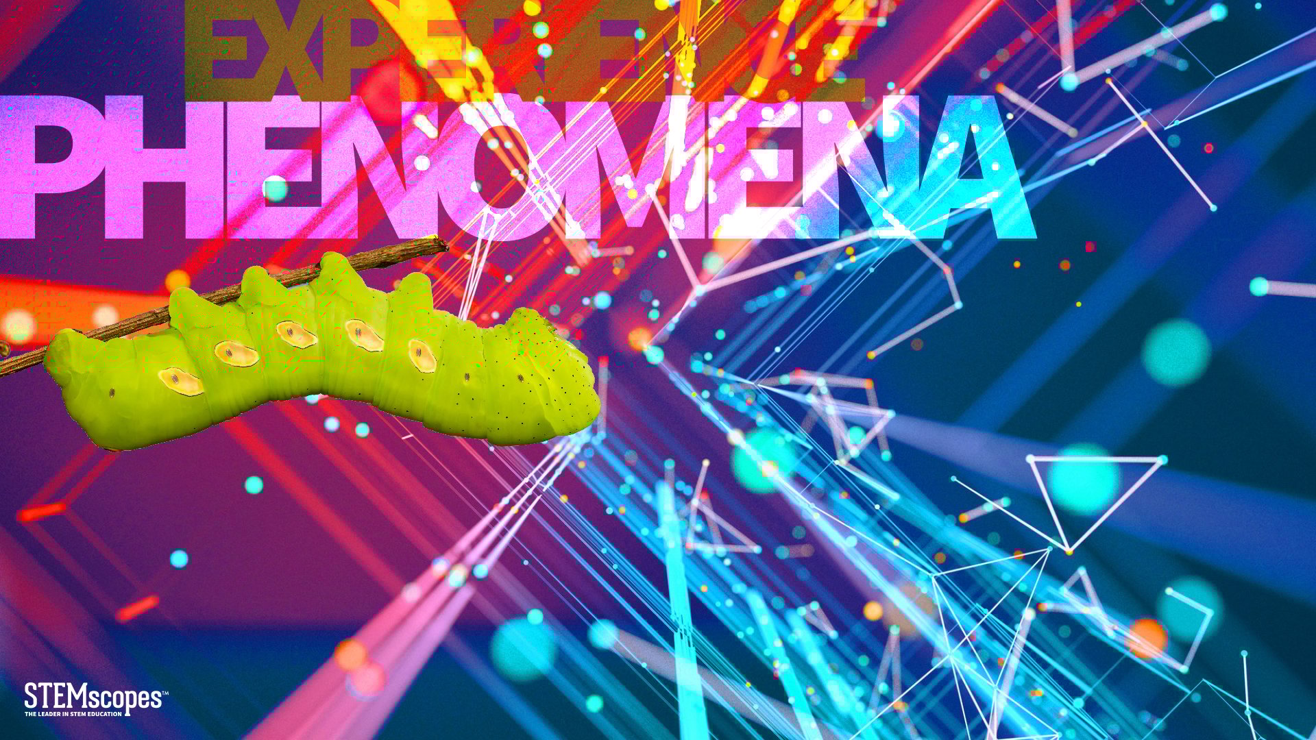 Science Phenomena in Everyday Life: Inspire Your Classroom